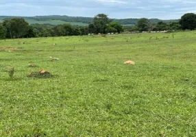 Lotes/Terrenos à venda em Palestina de Goiás, GO - Viva Real