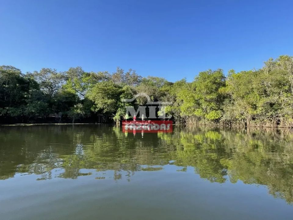 Fazenda/Sítio em Zona Rural em Cocalinho, por R$ 200.000.000 - Viva Real