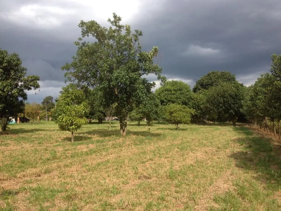 Fazenda/Sítio na Área Rural, 0, Area Rural de Cosmopolis em Cosmópolis ...