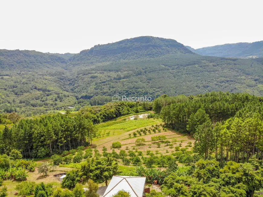 Fazenda/Sítio 196800 m² em Linha 28 em Gramado, por R$ 7.600.000 - Viva Real